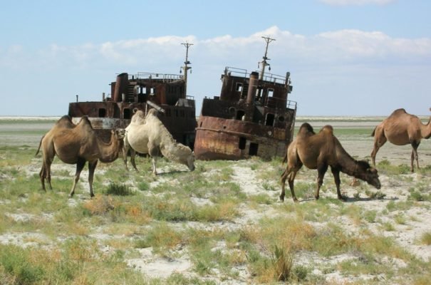 ARAL LAGO MARE | VIAGGIO IN UZBEKISTAN | TOUR IN UZBEKISTAN